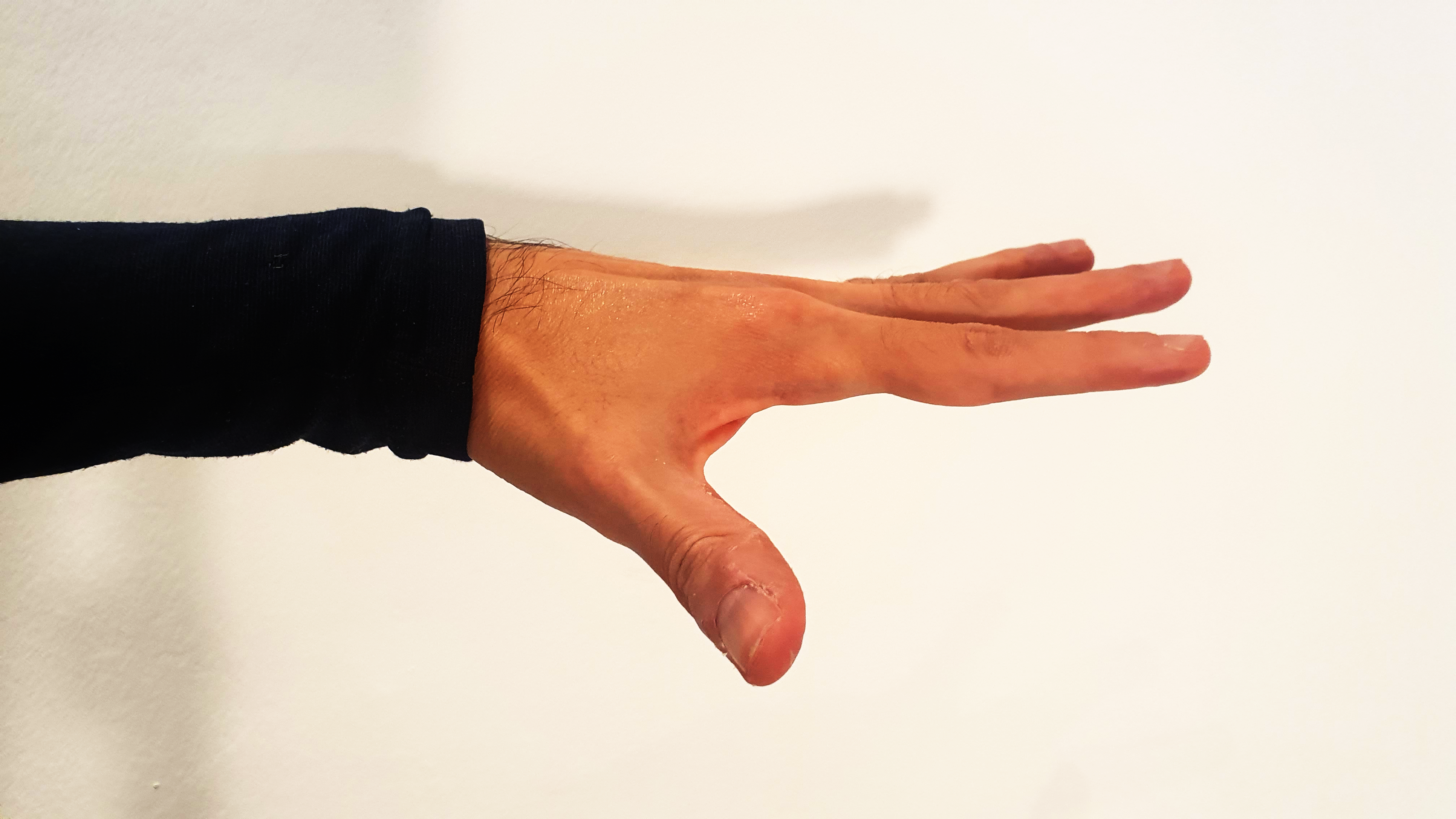 Movements of the Wrist — Anatomy for Pianists · Amy Pellegrini
