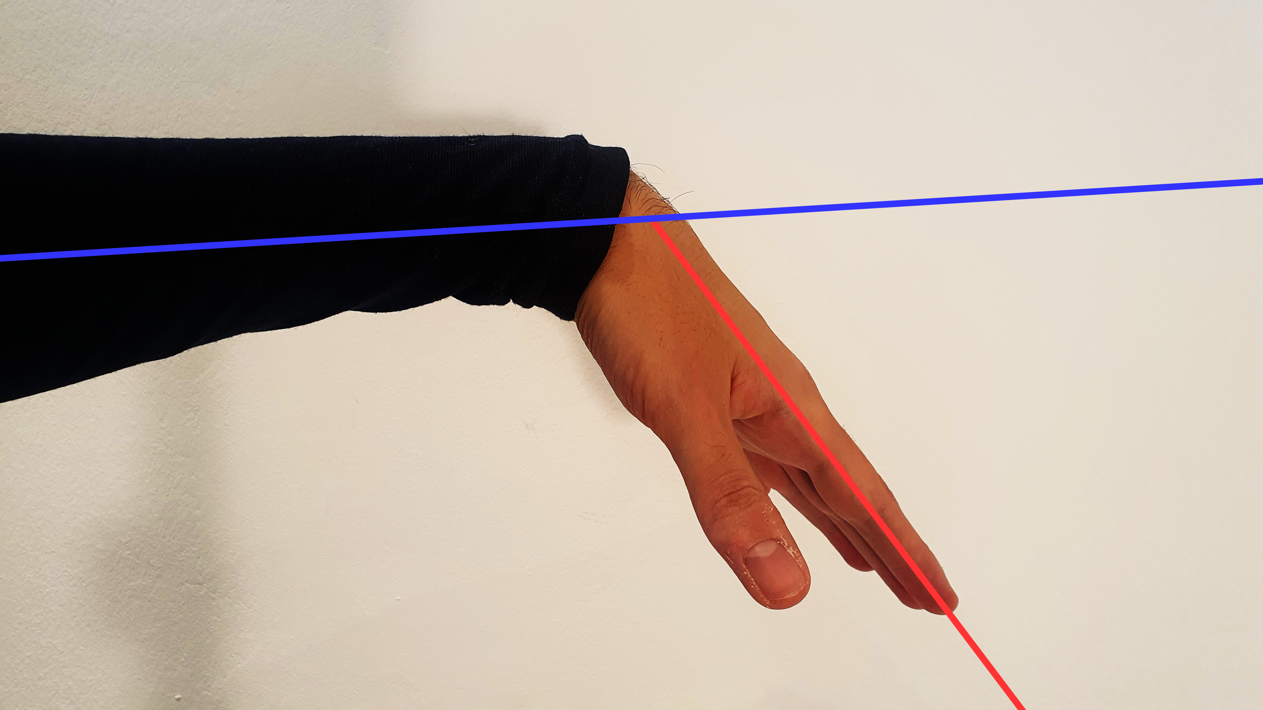 Movements of the wrist