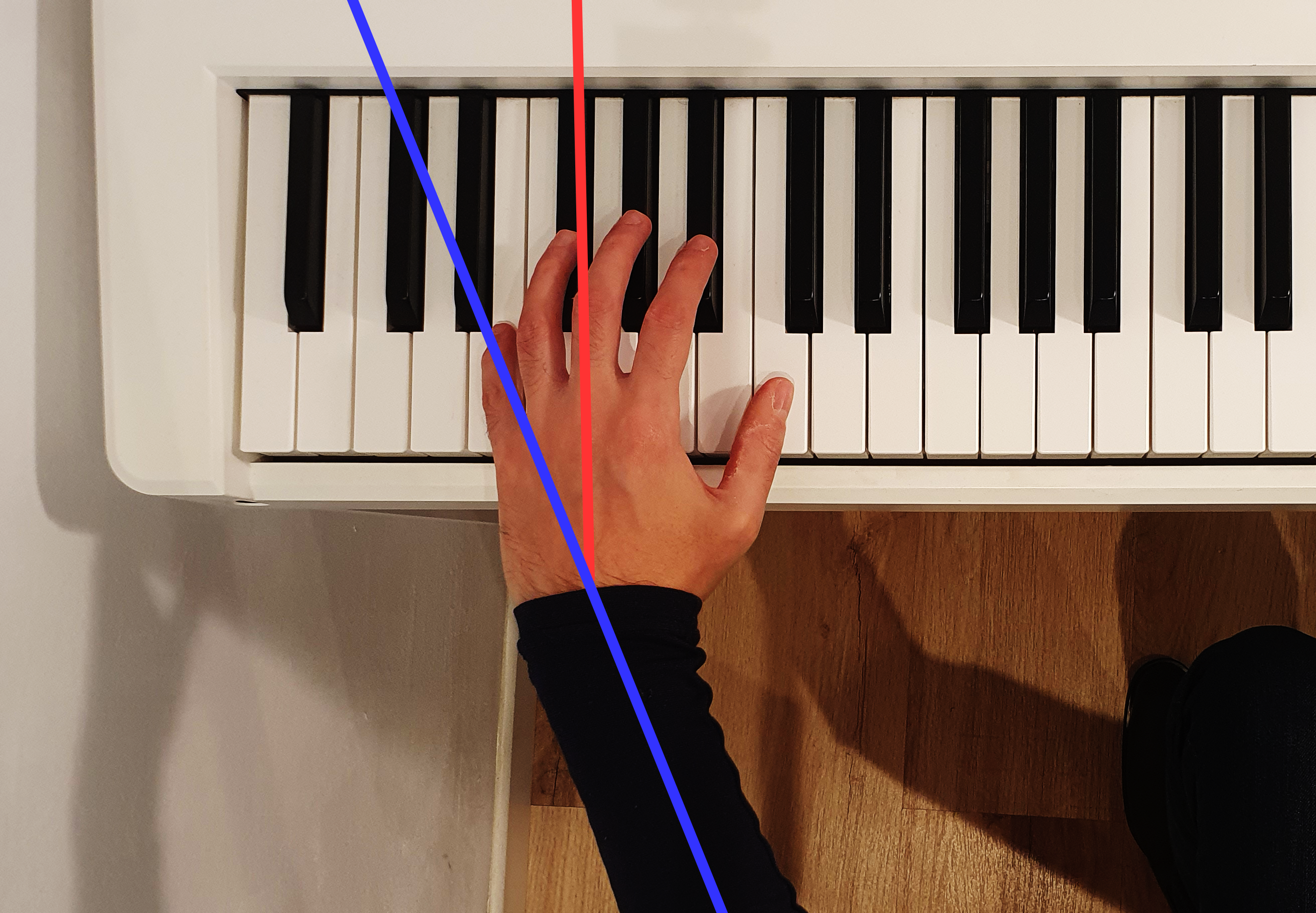 Movements of the wrist