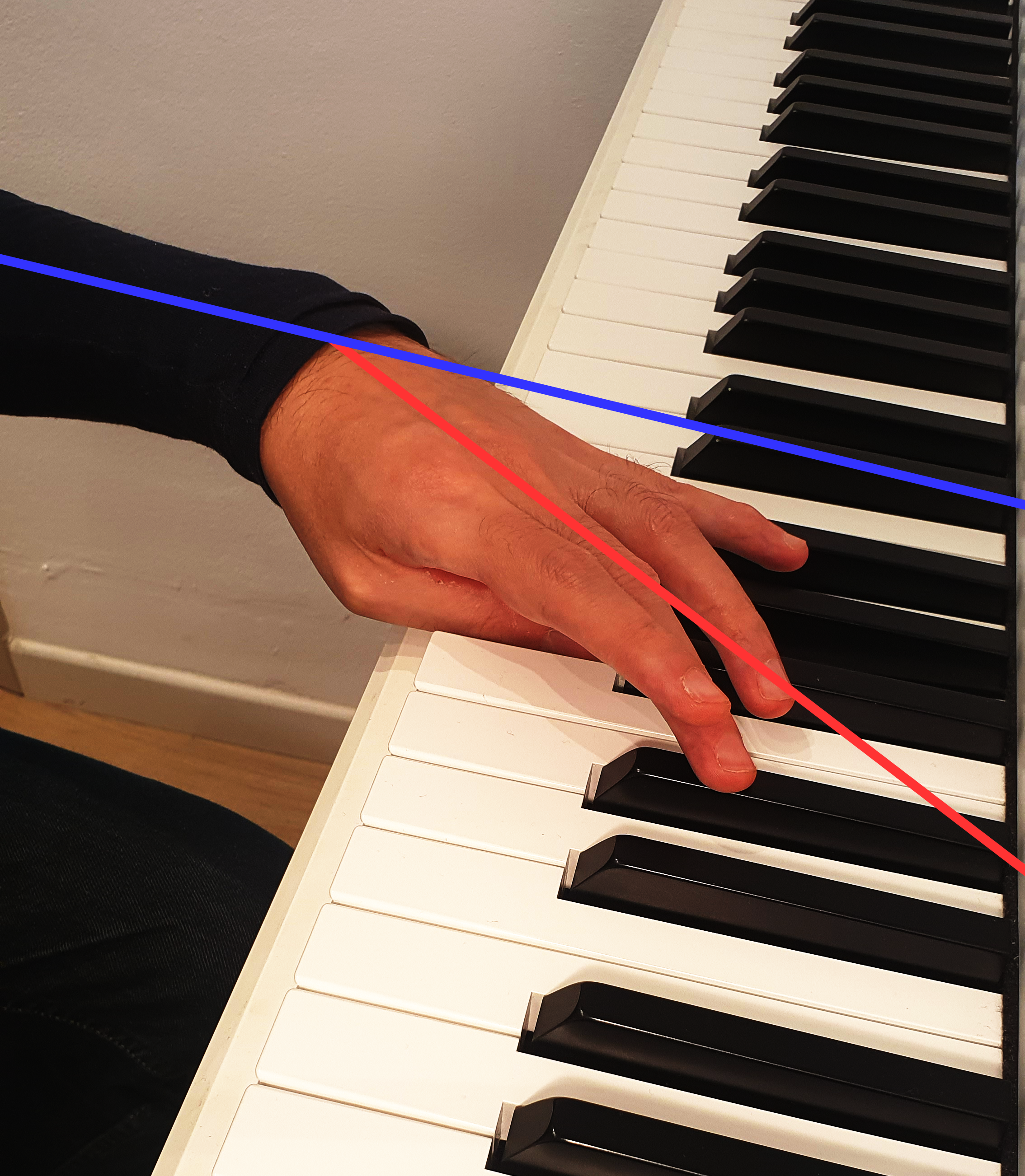 Movements of the Wrist — Anatomy for Pianists · Amy Pellegrini