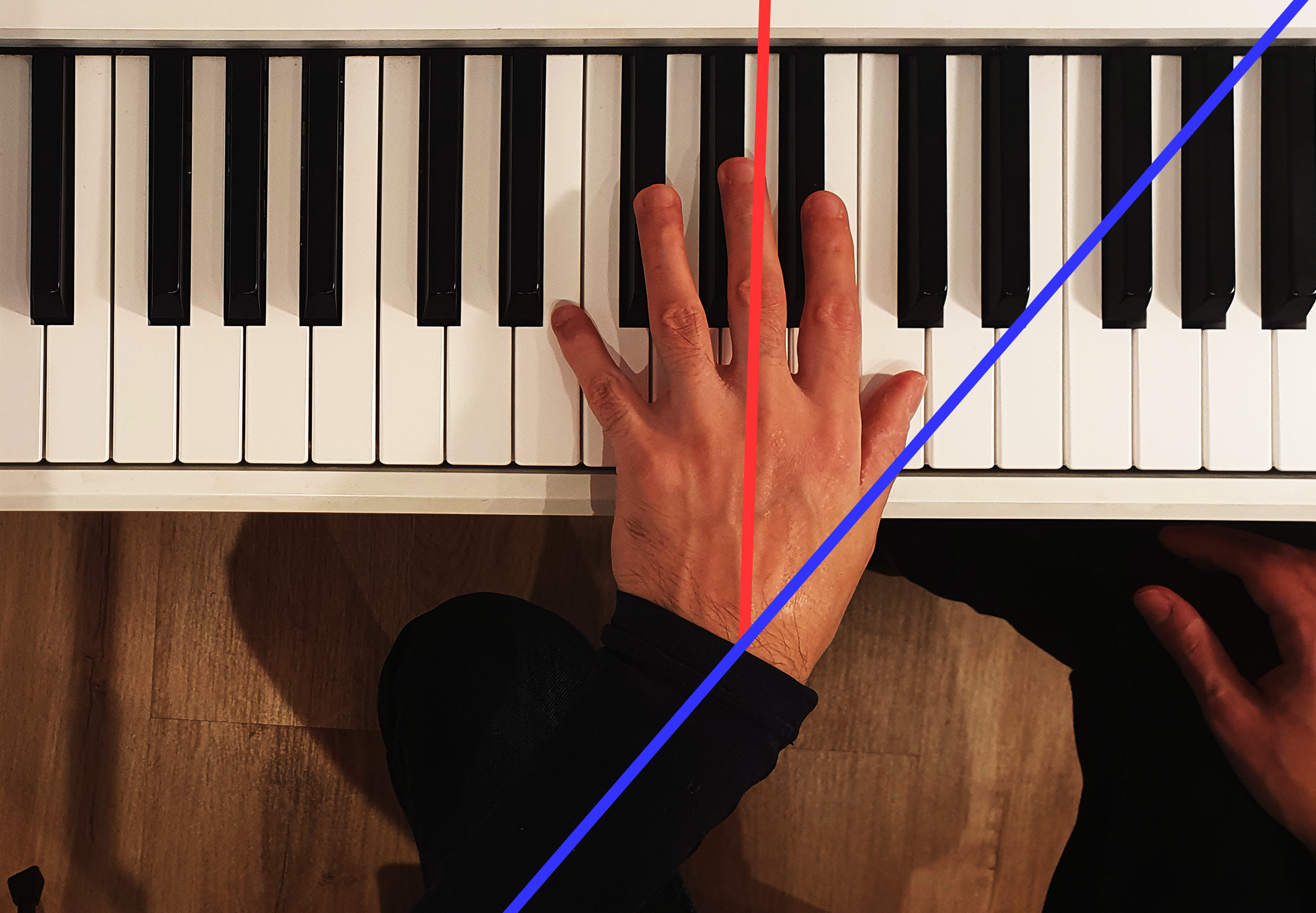 Movements of the wrist